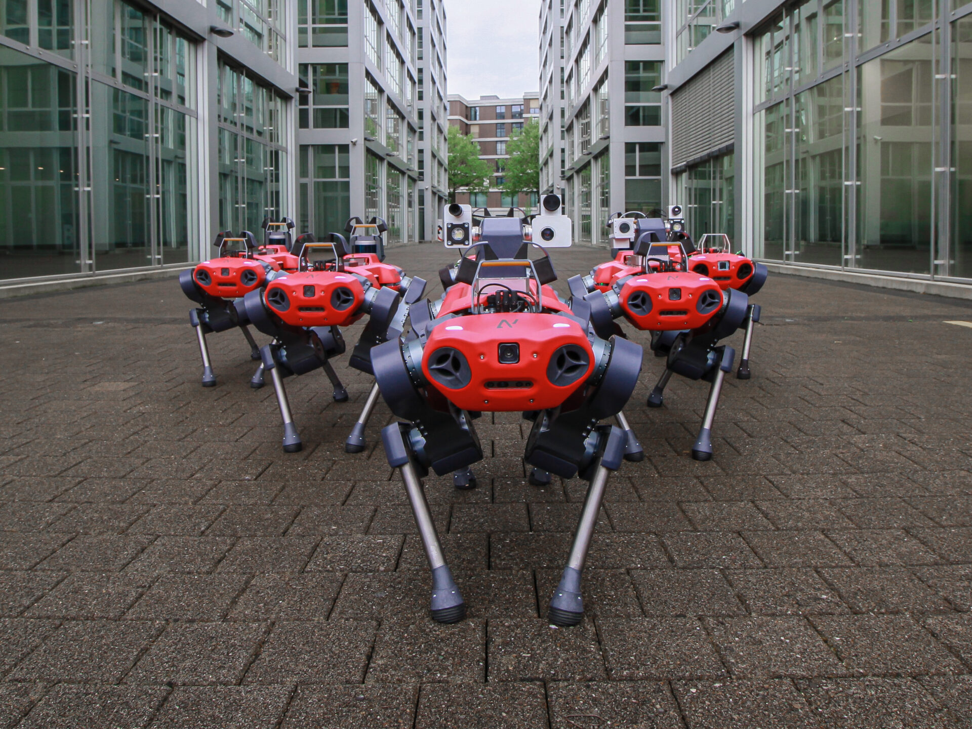 First ANYmal C Legged Robot Customer Deliveries - ANYbotics